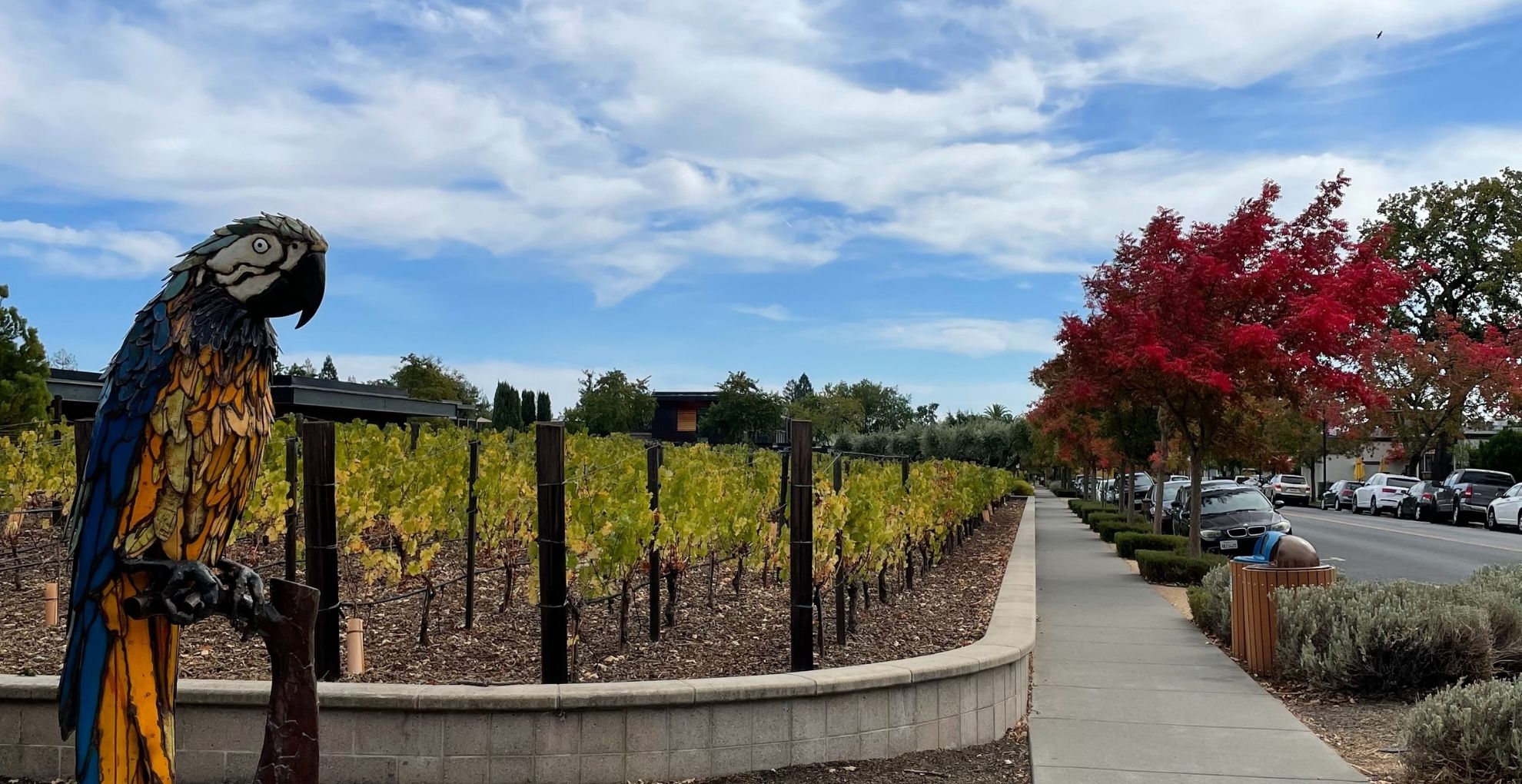 FALL in Love with Yountville - Yountville